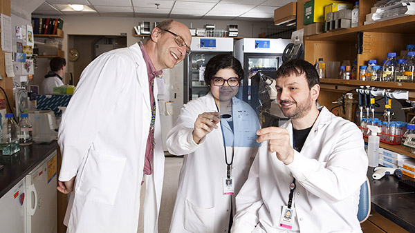 Center for Cancer Research