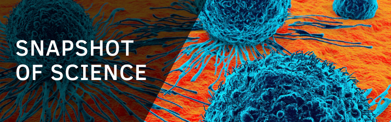 Snapshot of Science for January 2020