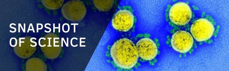 Snapshot of Science for June 2020