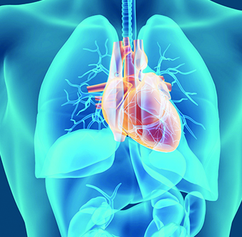 The Transplant Center