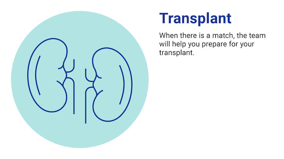 Kidney Transplant Program | Massachusetts General Hospital